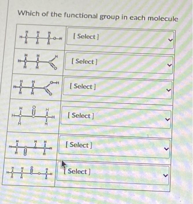 Solved name the functional group in each molecule. aldehyde, | Chegg.com