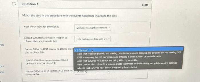 Solved Match the step in the procedure with the events | Chegg.com