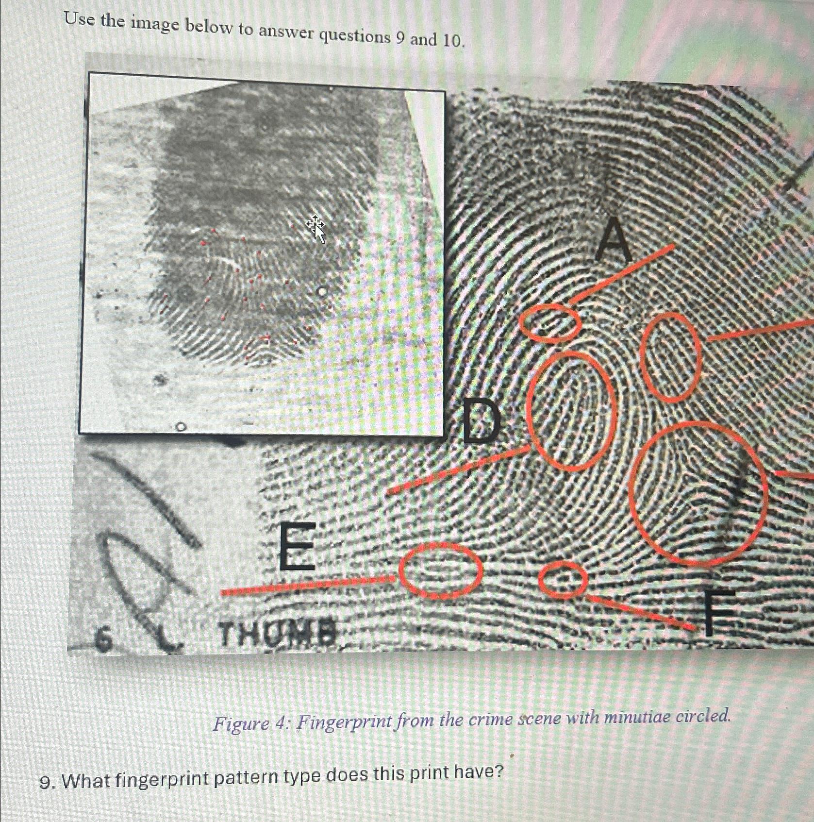 Solved Use the image below to answer questions 9 ﻿and | Chegg.com