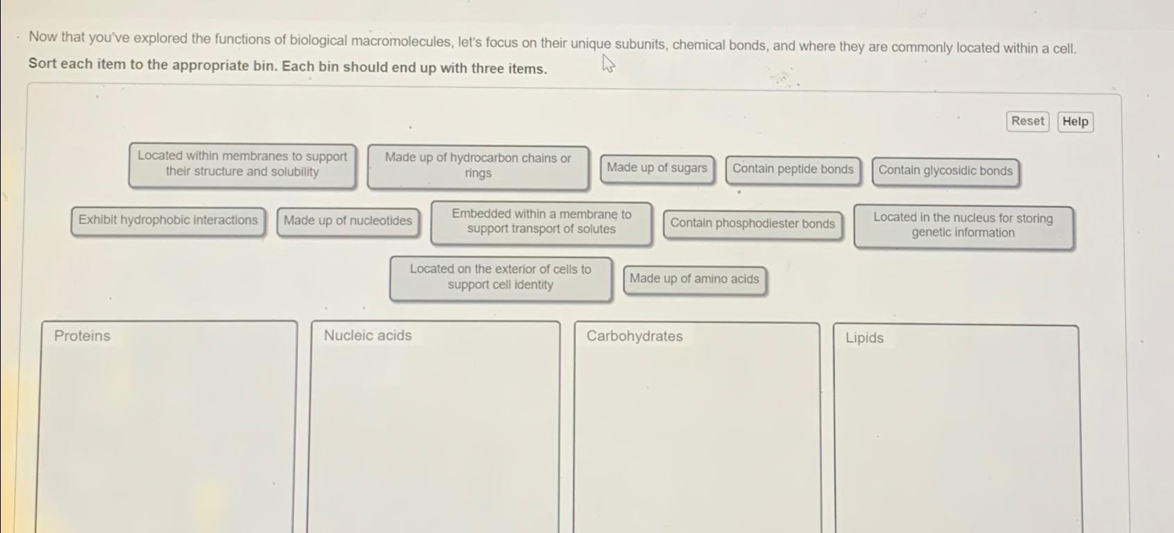 Solved Now that you've explored the functions of biological | Chegg.com