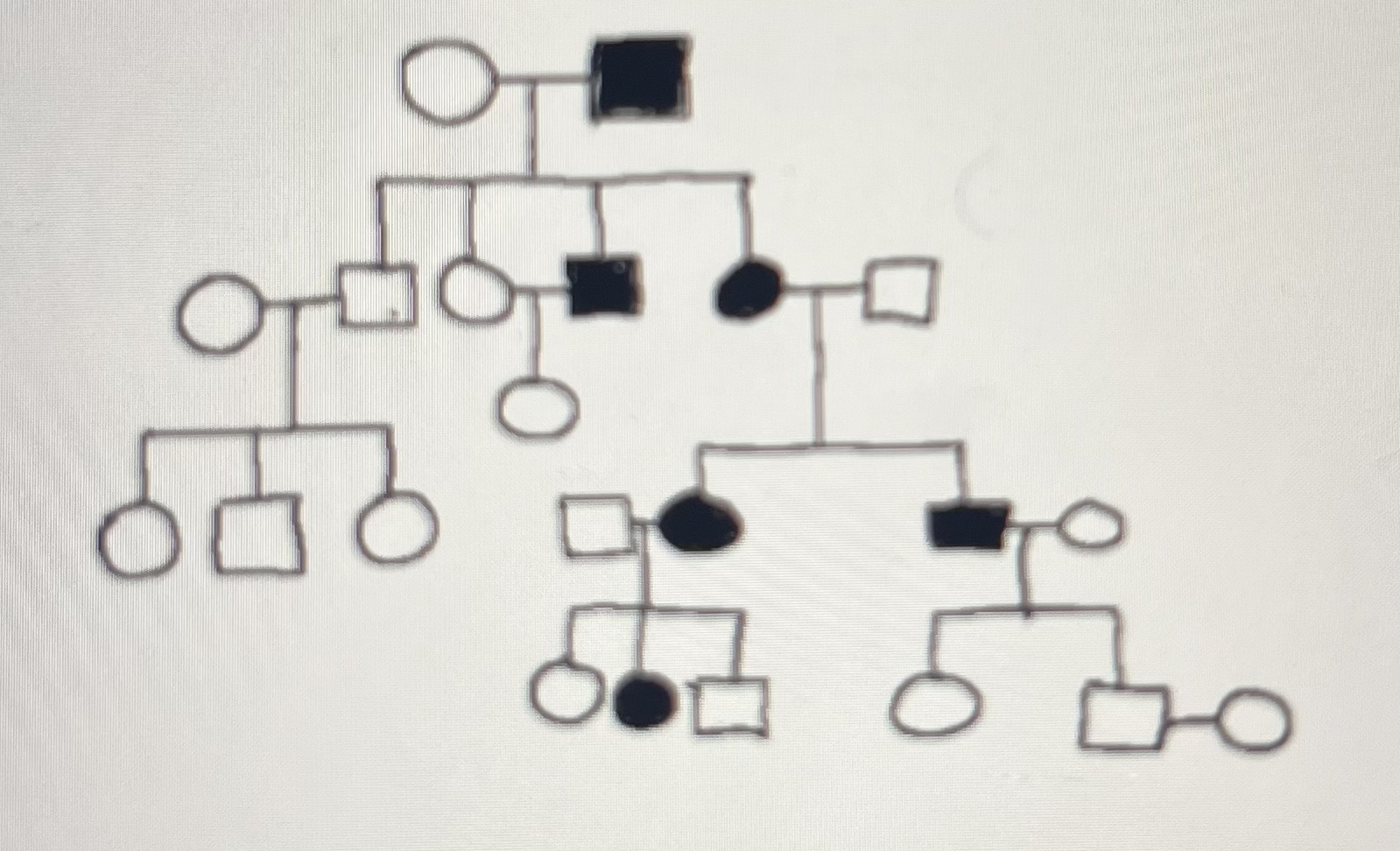 Solved What is the type of inheritance listed here? | Chegg.com