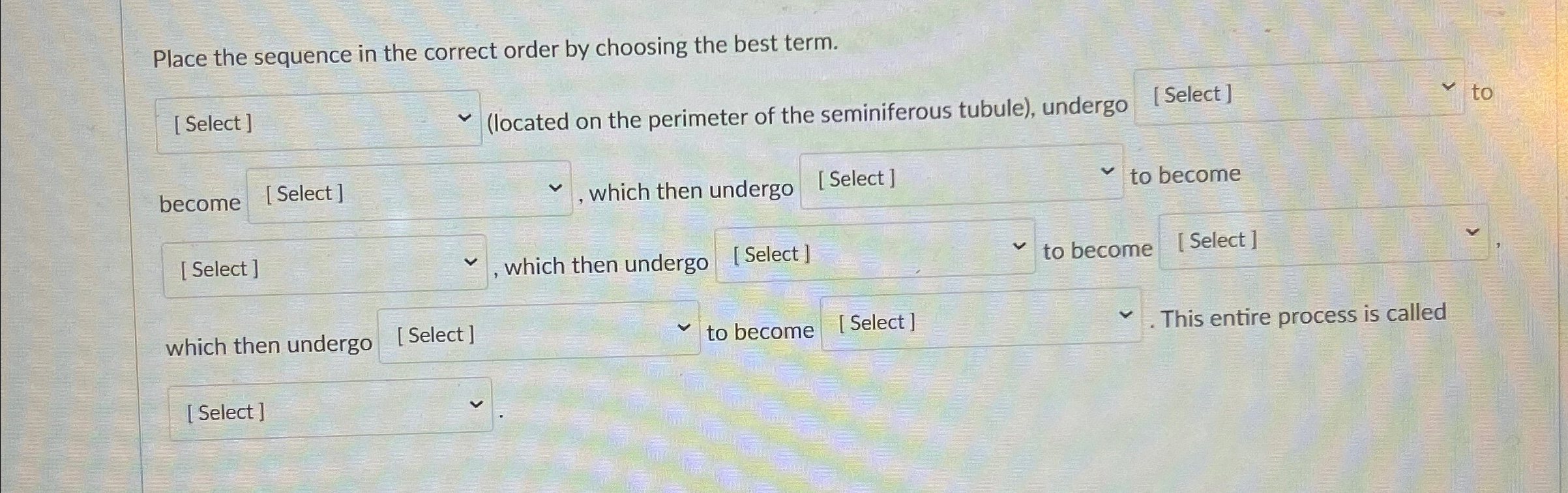 Solved Place the sequence in the correct order by choosing | Chegg.com