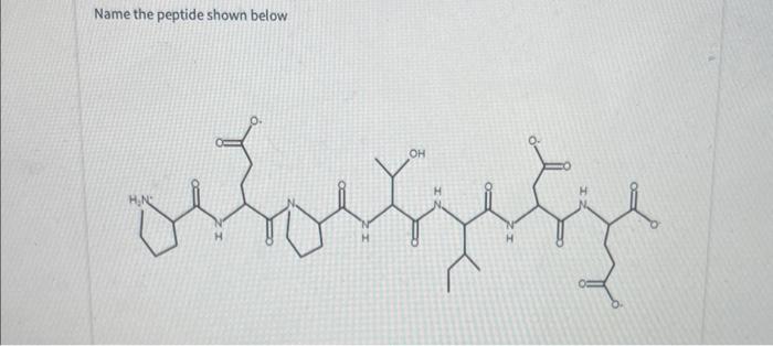Solved Name the peptide shown below | Chegg.com