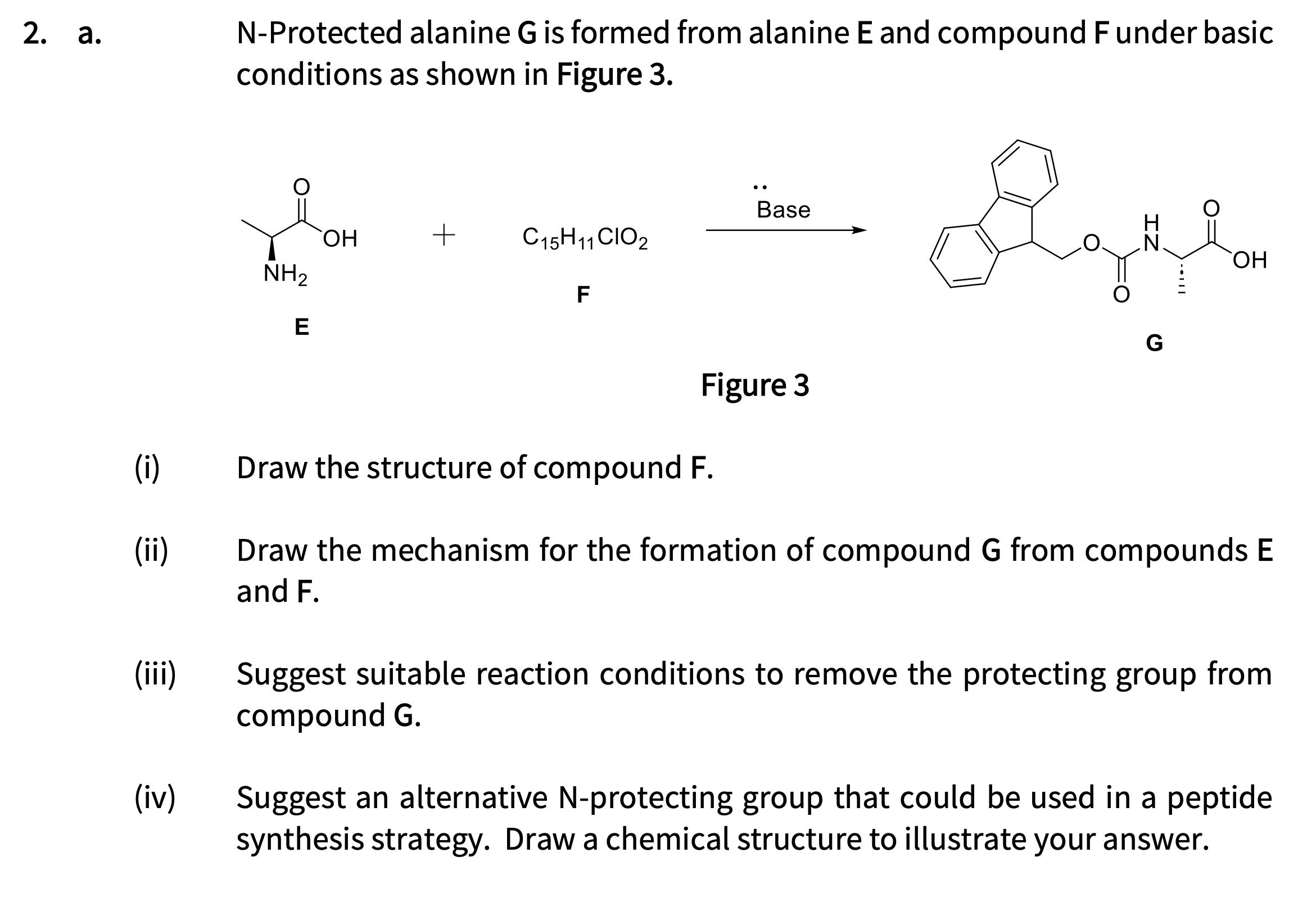 Solved a. N-Protected alanine G ﻿is formed from alanine E | Chegg.com