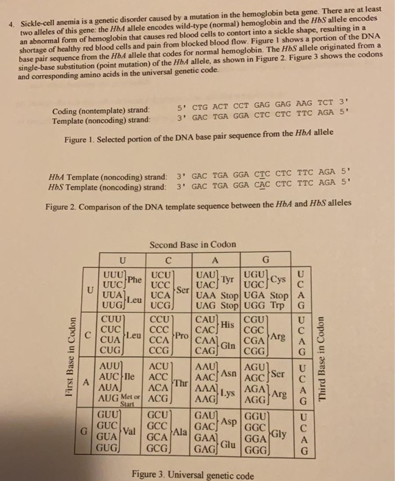 Solved 4. Sickle-cell anemia is a genetic disorder caused by | Chegg.com