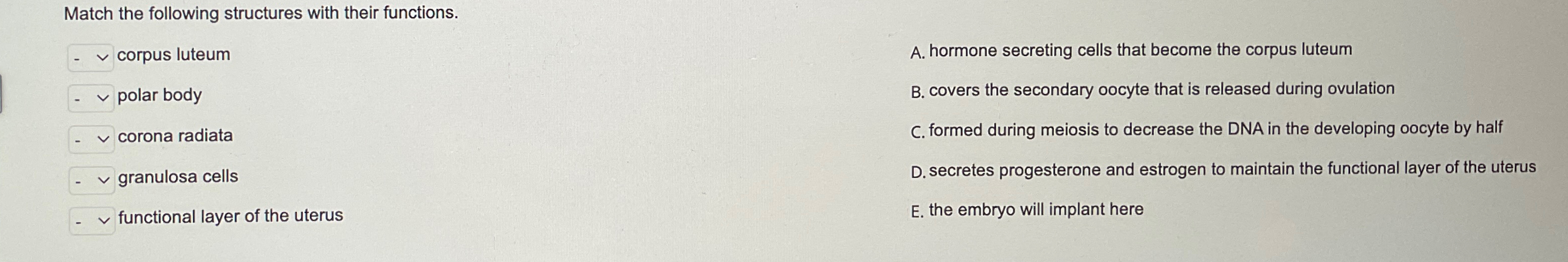 Solved Match the following structures with their functions. | Chegg.com