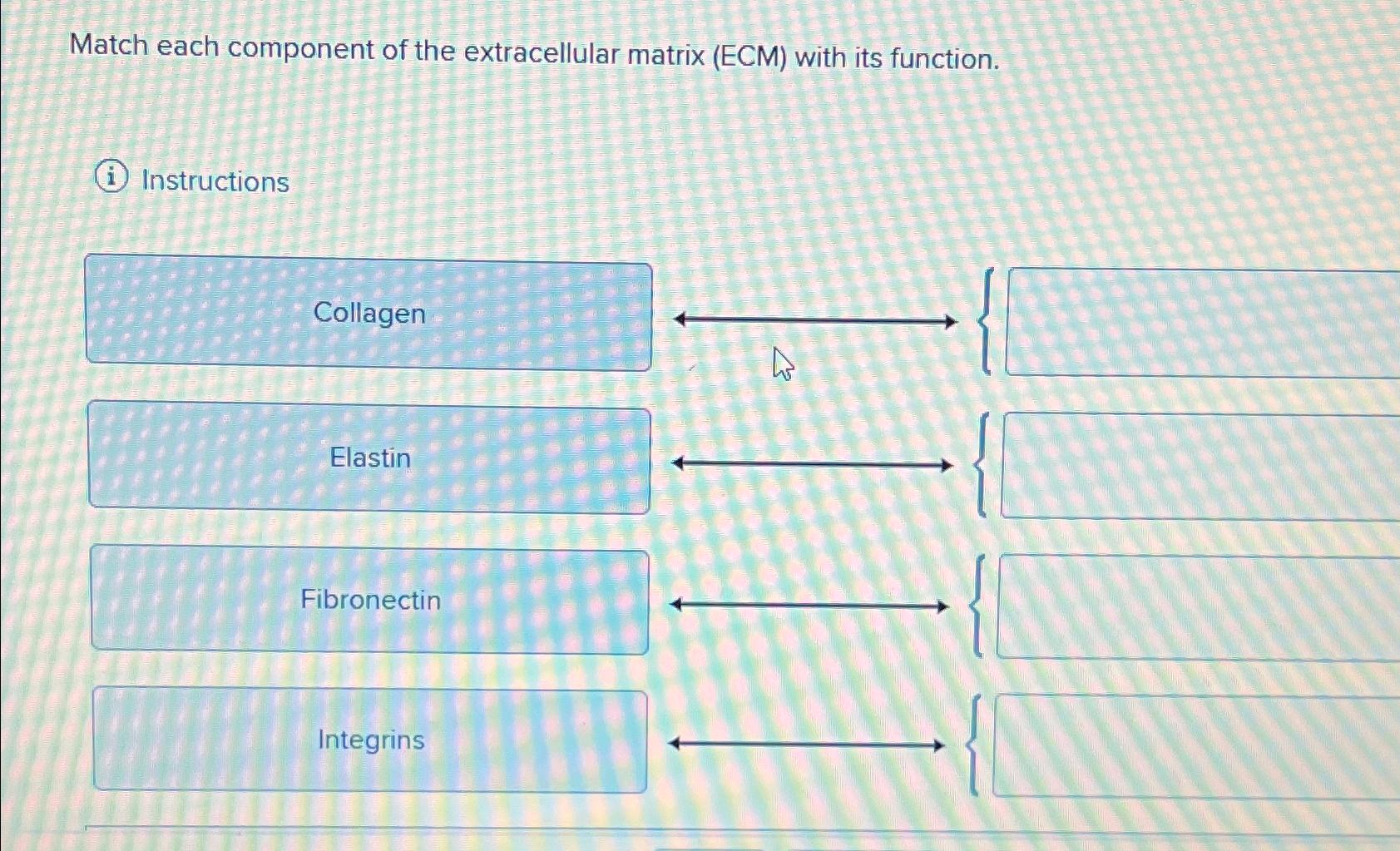 Solved Match each component of the extracellular matrix | Chegg.com Solved Match each component of the extracellular matrix | Chegg.com