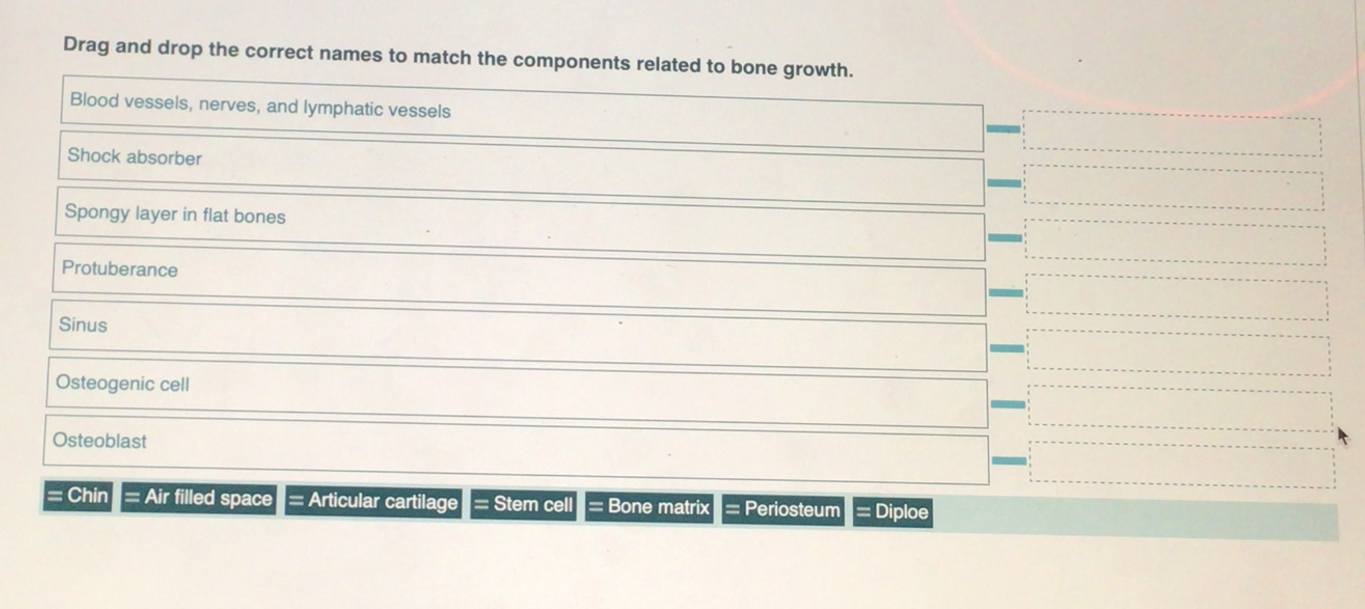 Solved Drag and drop the correct names to match the | Chegg.com