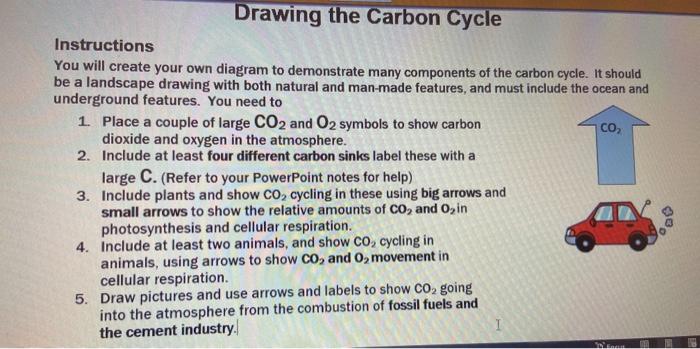 Drawing the Carbon Cycle Instructions You will create | Chegg.com