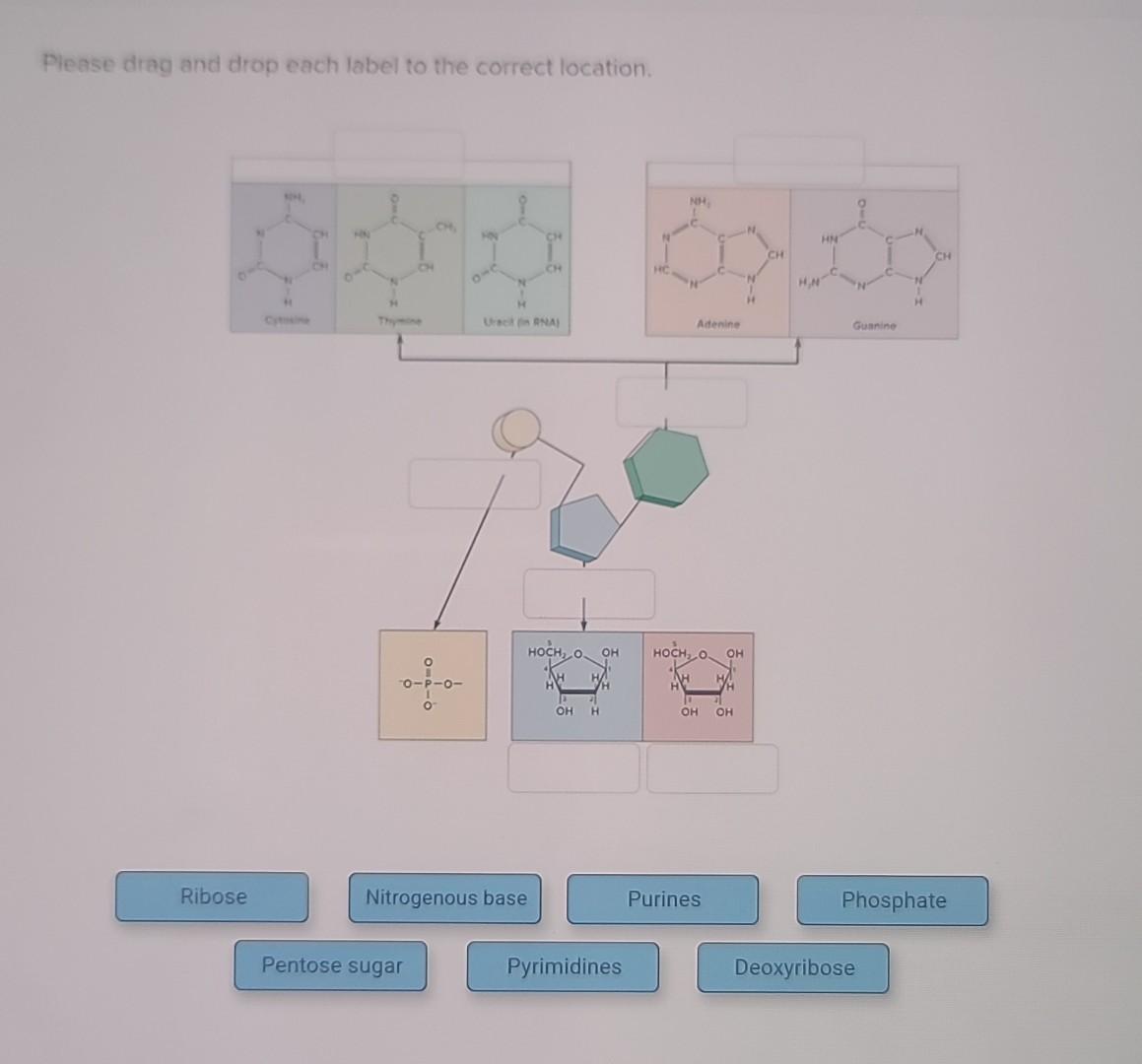 Please drag and drop each label to the correct | Chegg.com
