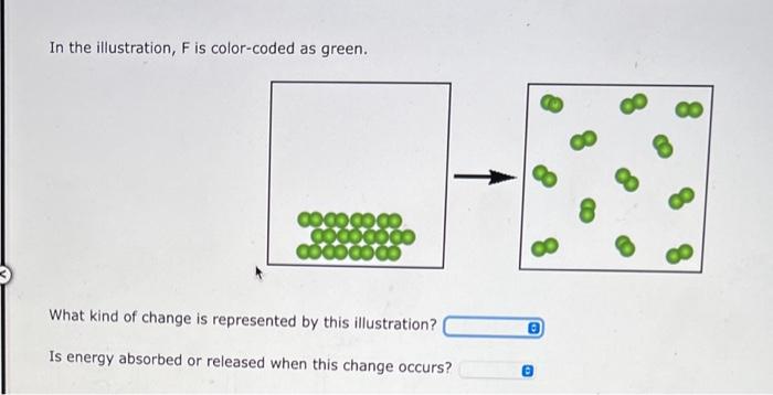 Solved In the illustration, F is color-coded as green. What | Chegg.com