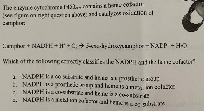 Solved The enzyme cytochrome P450cam contains a heme | Chegg.com