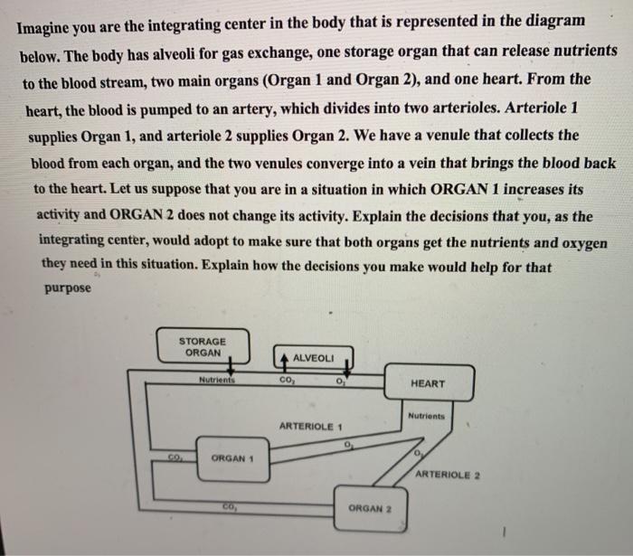 Solved Imagine you are the integrating center in the body | Chegg.com