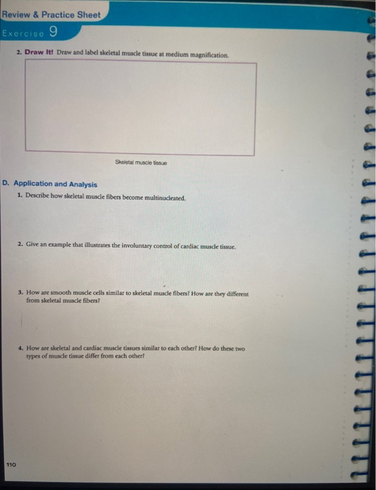 Solved Now available in MasteringA&P Review & Practice Sheet | Chegg.com