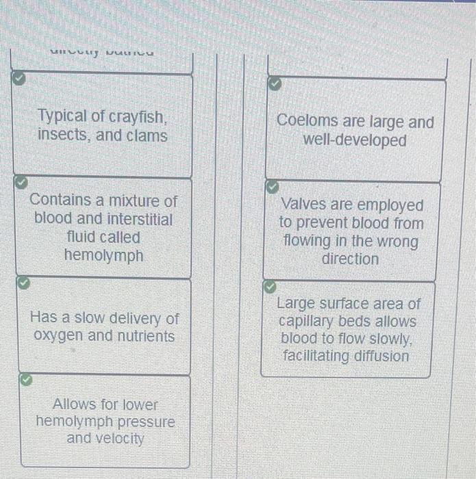 Solved Open Circulatory System Closed Circulatory System | Chegg.com