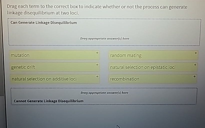 Solved Drag each term to the correct box to indicate whether | Chegg.com