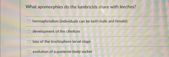 Solved What apomorphies do the lumbricids share with | Chegg.com