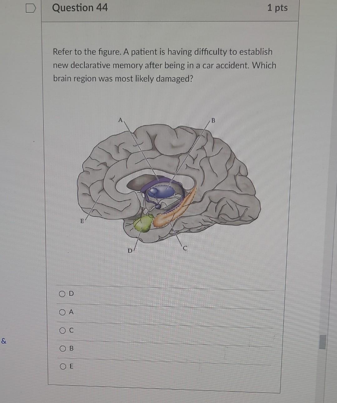 Solved Refer to the figure. A patient is having difficulty | Chegg.com