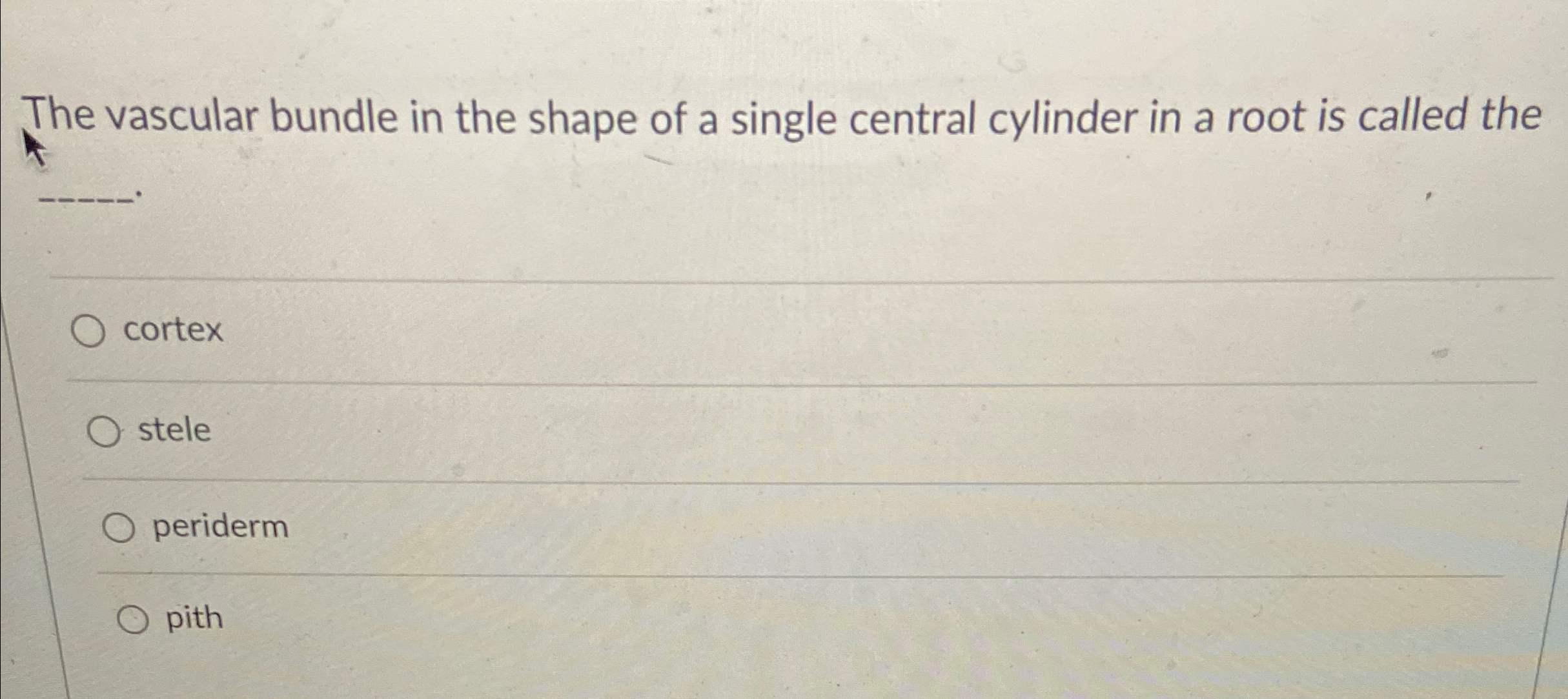 Solved The vascular bundle in the shape of a single central | Chegg.com
