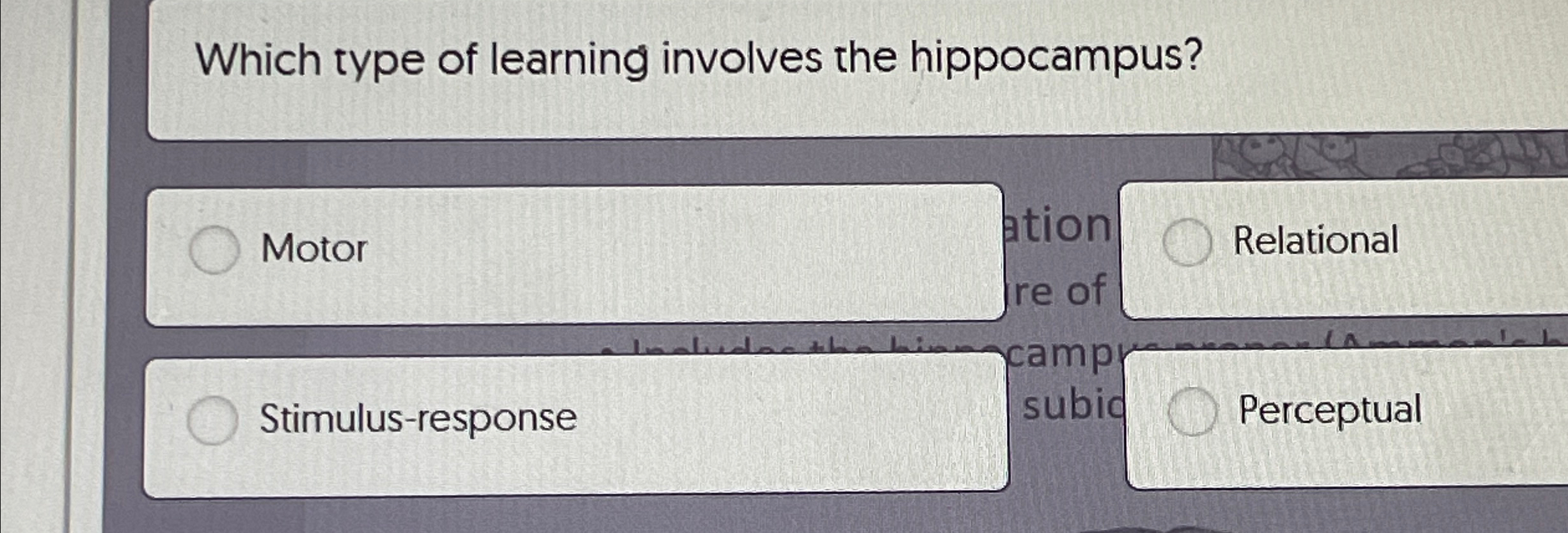 Solved Which type of learning involves the | Chegg.com