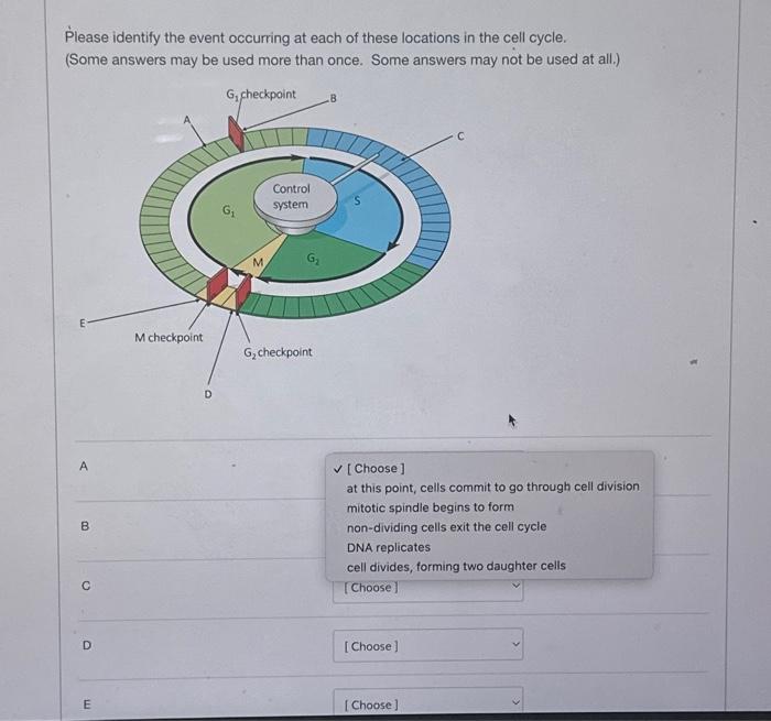 Solved 3x+2=4xPlease identify the event occurring at each of | Chegg.com