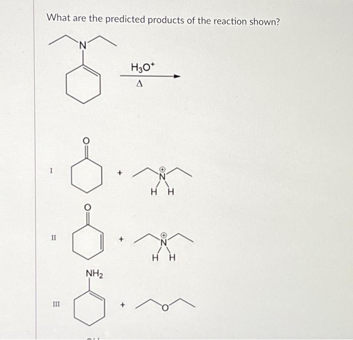Solved What are the predicted products of the reaction | Chegg.com