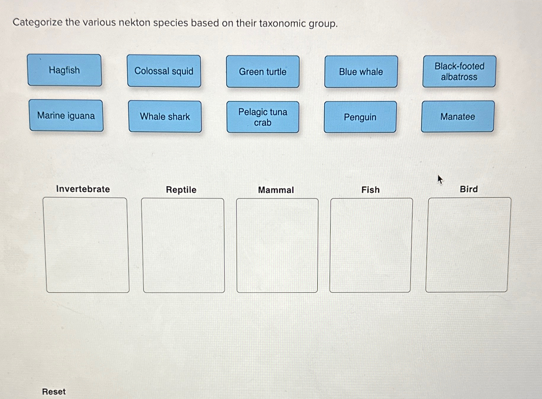 Solved Categorize the various nekton species based on their | Chegg.com