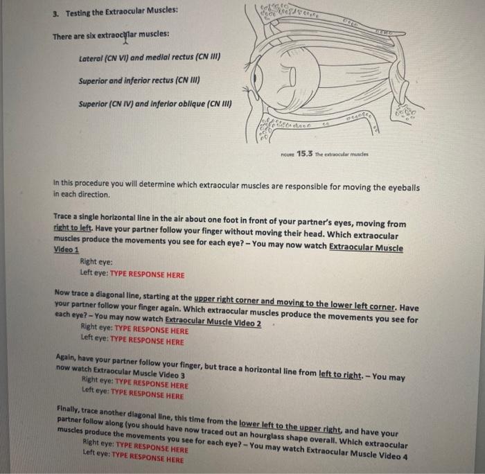 Solved 3. Testing the Extraocular Muscles: ver There are six | Chegg.com
