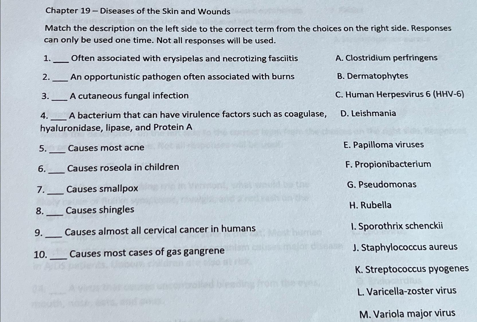 Solved Chapter 19 - ﻿Diseases of the Skin and WoundsMatch | Chegg.com