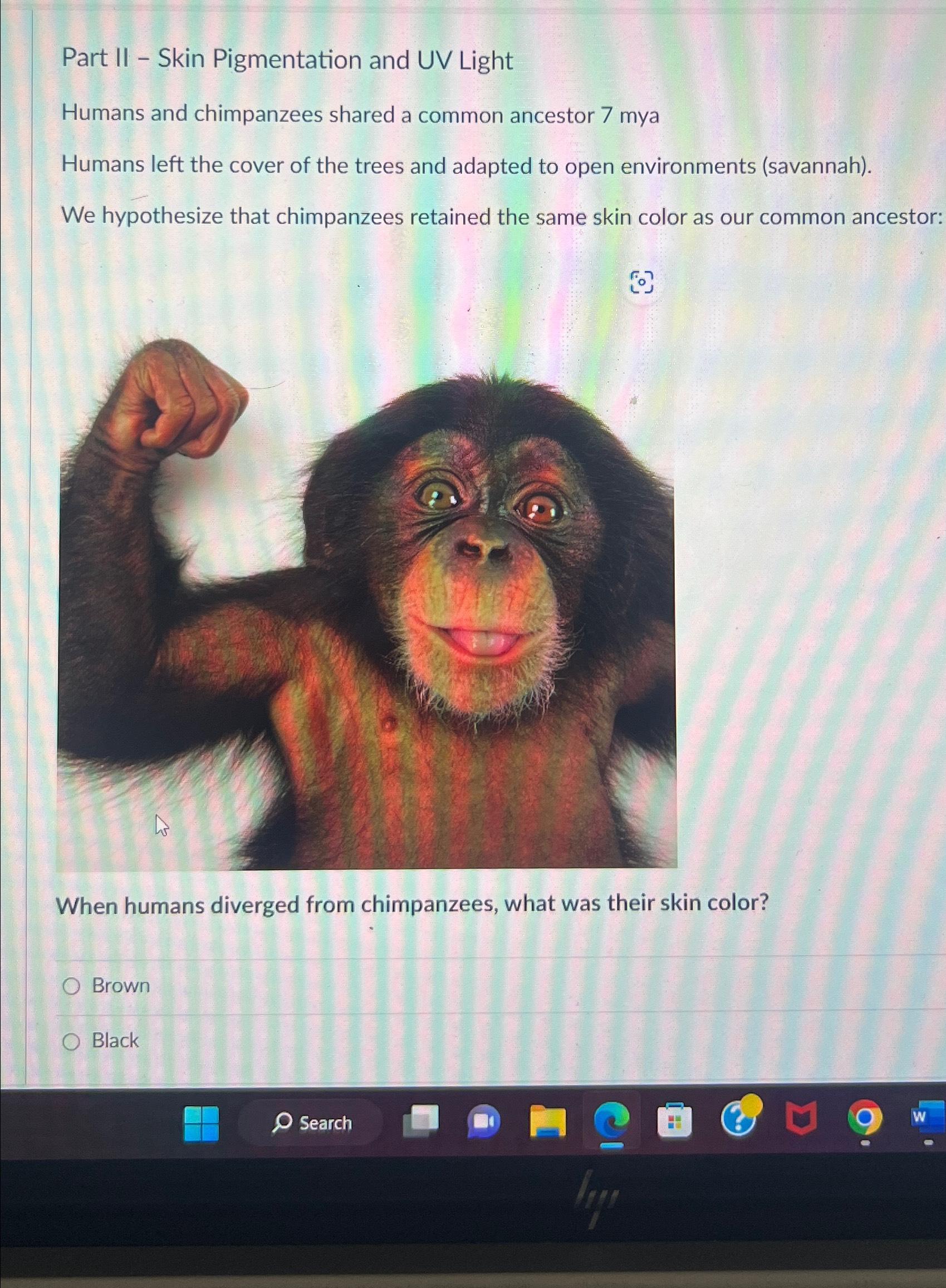 Solved Part II - Skin Pigmentation and UV LightHumans and | Chegg.com Solved Part II - Skin Pigmentation and UV LightHumans and | Chegg.com
