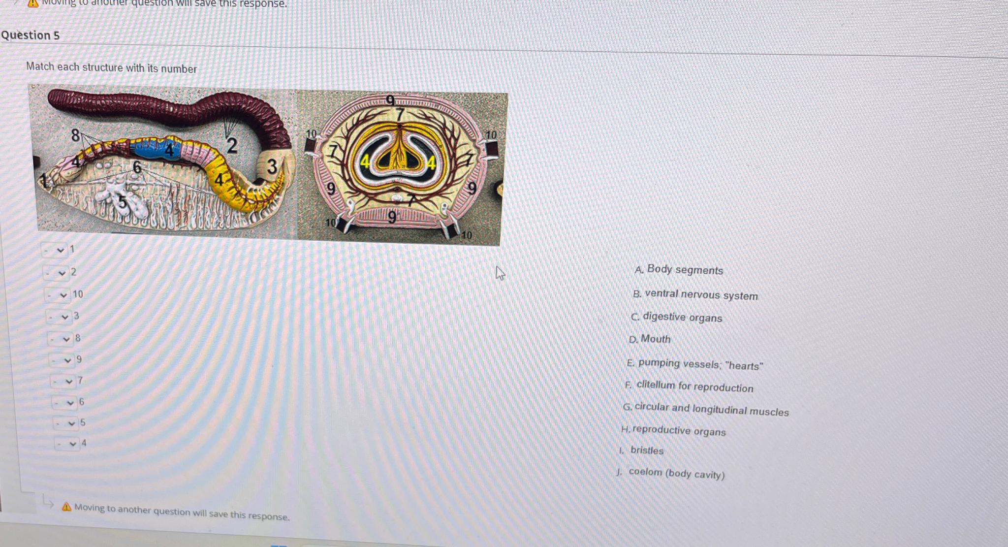 Solved Question 5Match each structure with its numberA. | Chegg.com