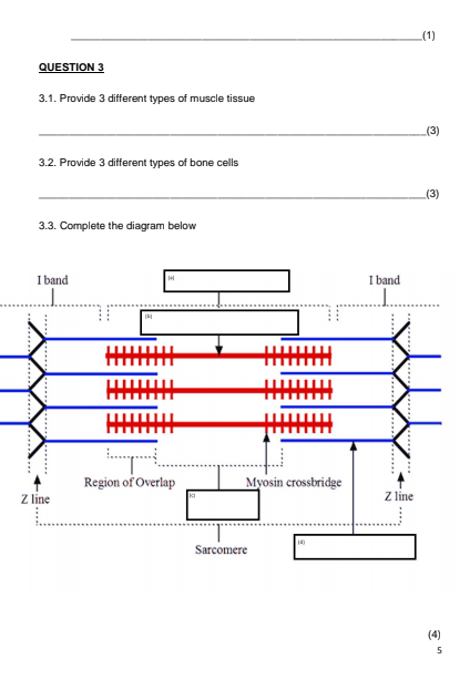 Solved 1.1. Draw and label a Simple Columnar Epithelium (5) | Chegg.com