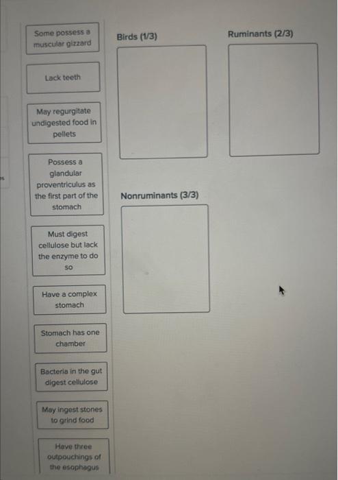 Solved Passive vs. active absorption Drag and drop each item | Chegg.com