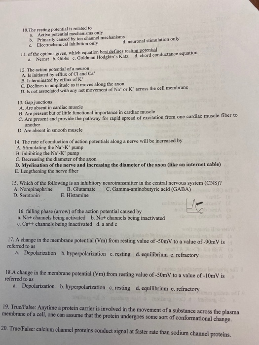 Solved 10. The resting potential is related to a. Active | Chegg.com