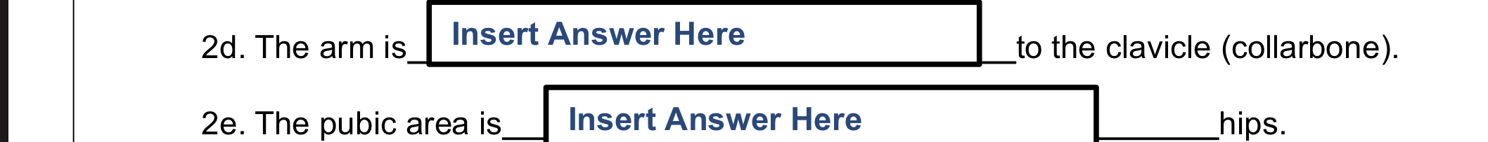 Solved 2d. ﻿The arm is Insert Answer Here to the clavicle | Chegg.com