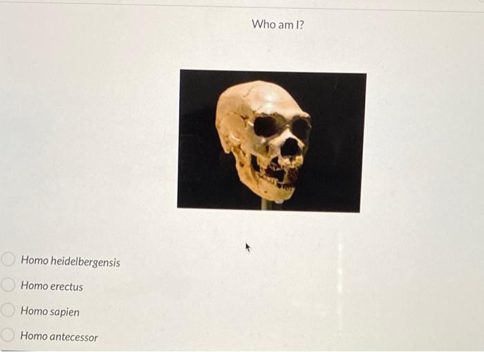 Collectively, the following characteristics/traits | Chegg.com