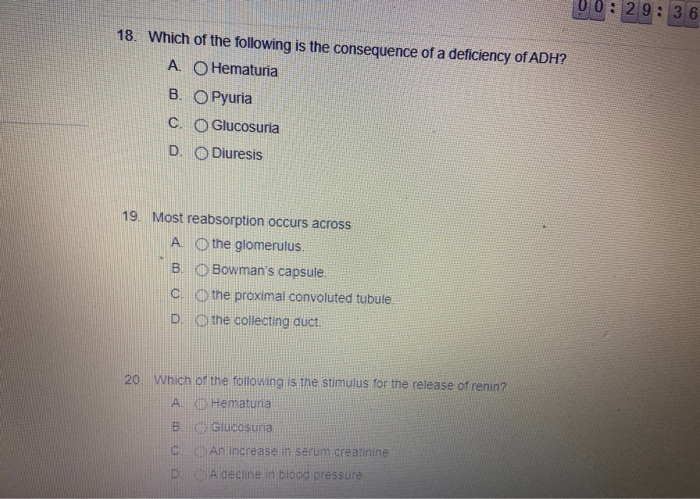 Solved 11. The urinary meatus A. O is located at the distal | Chegg.com