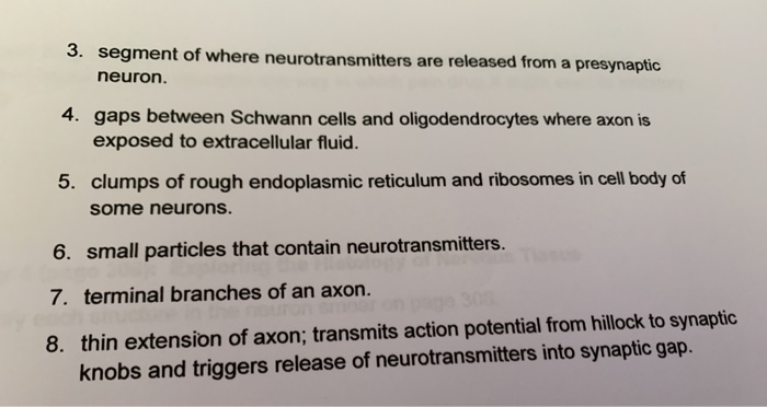 Solved 2. Match each region of the neuron with its basic | Chegg.com