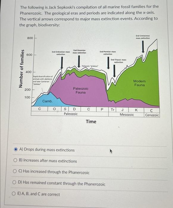 Solved The following is Jack Sepkoski's compilation of all | Chegg.com