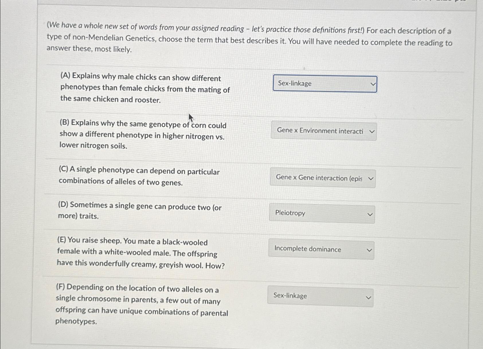 Solved (We have a whole new set of words from your assigned | Chegg.com