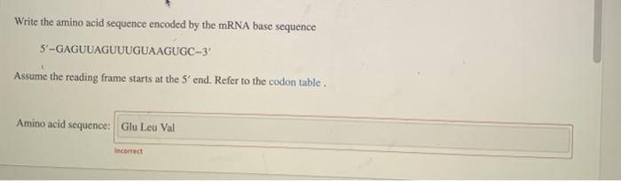Solved Write the sequence of the mRNA molecule synthesized | Chegg.com