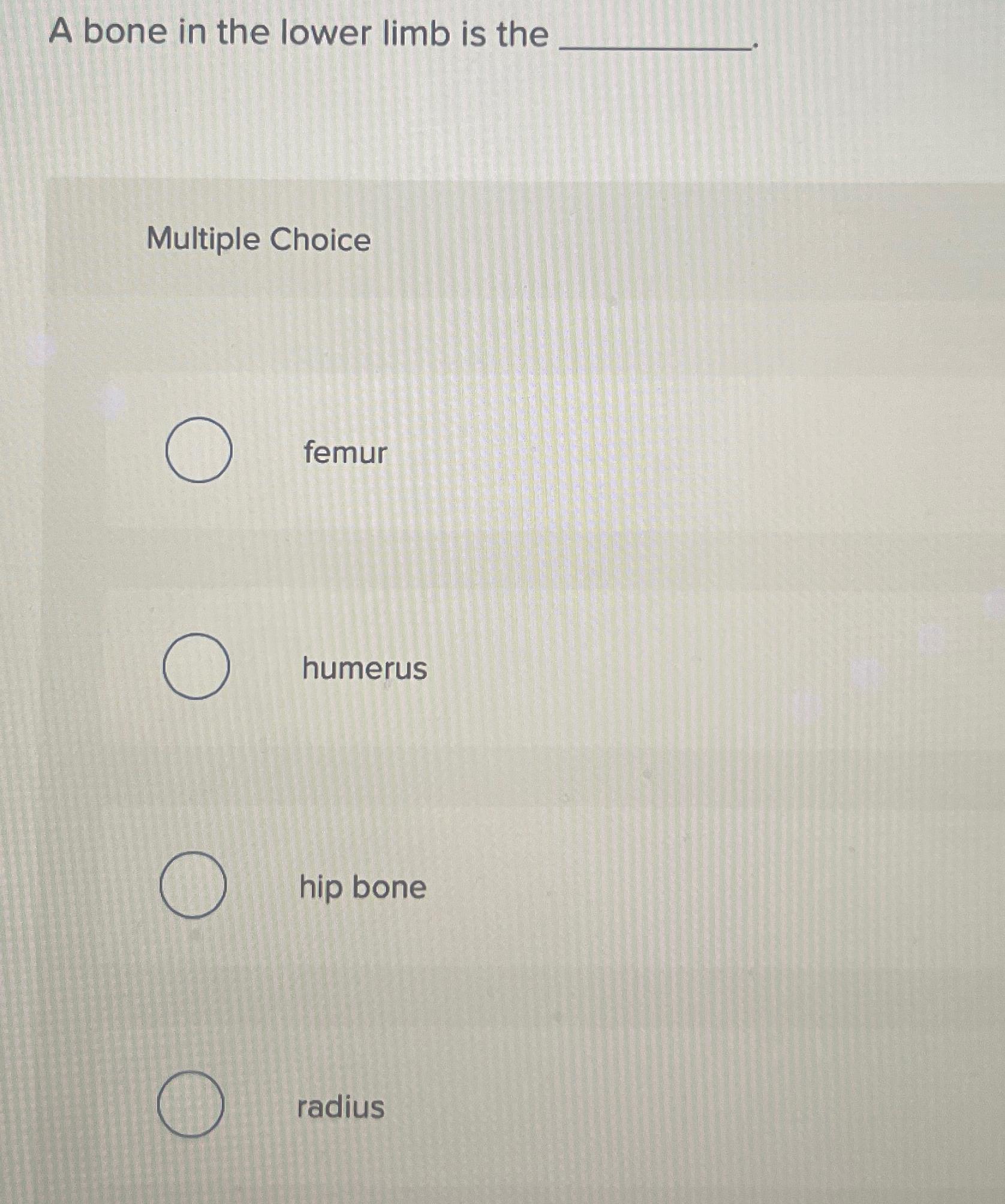 Solved A bone in the lower limb is theMultiple | Chegg.com