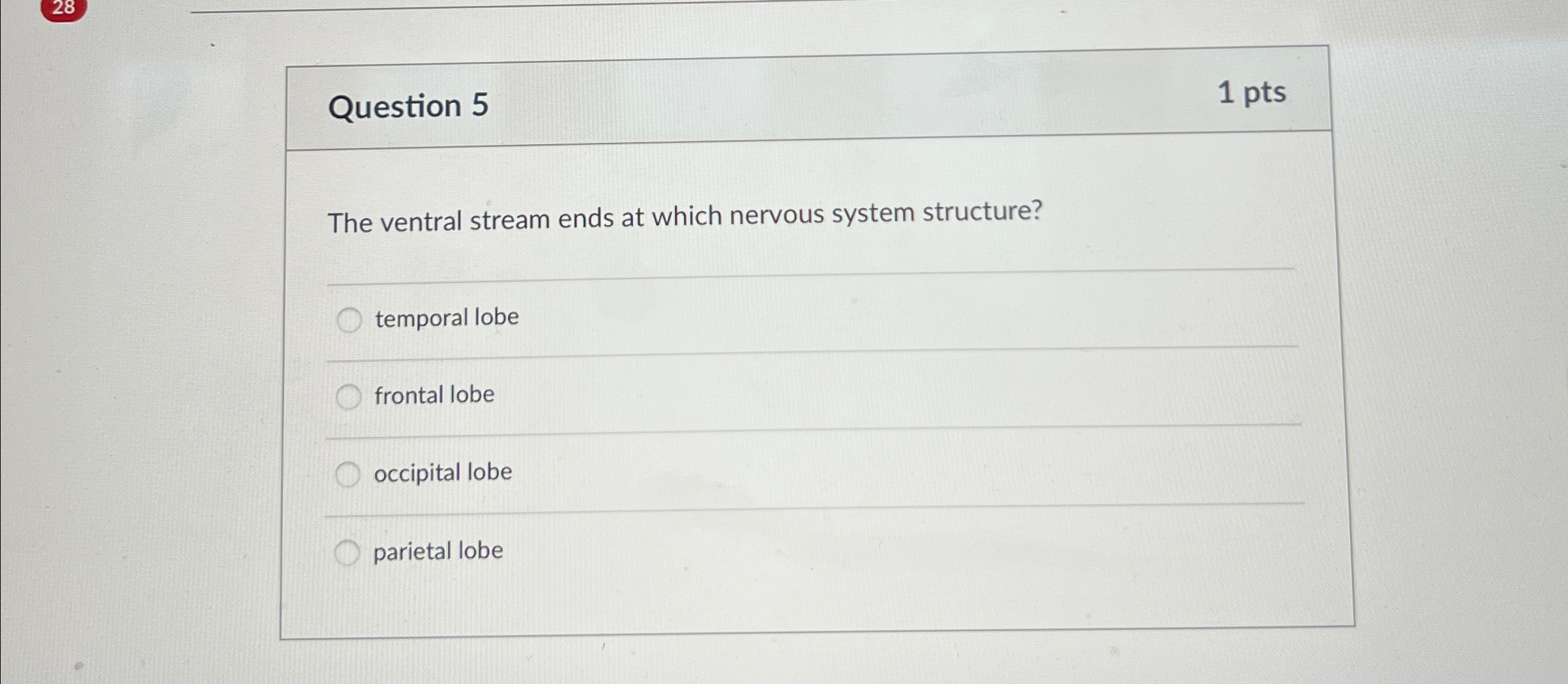 Solved Question 5 1 ﻿pts The ventral stream ends at which | Chegg.com