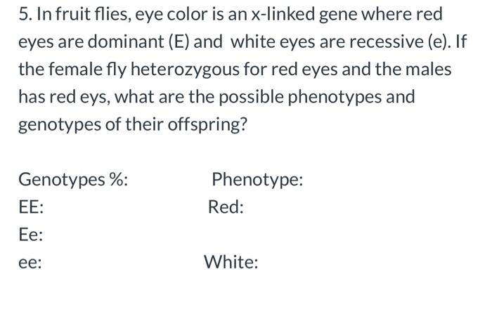 5. In fruit flies, eye color is an x-linked gene | Chegg.com