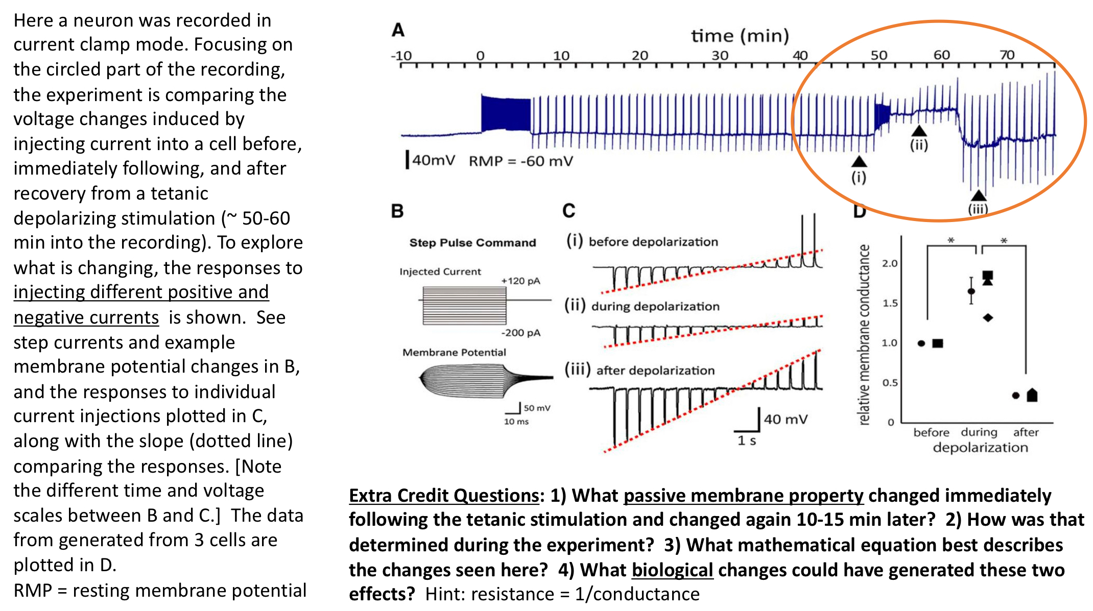 Solved Here a neuron was recorded in current clamp mode. | Chegg.com