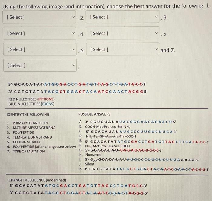 Solved Using the following image (and information), choose | Chegg.com