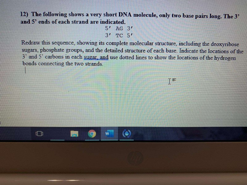 Solved 12) The following shows a very short DNA molecule, | Chegg.com