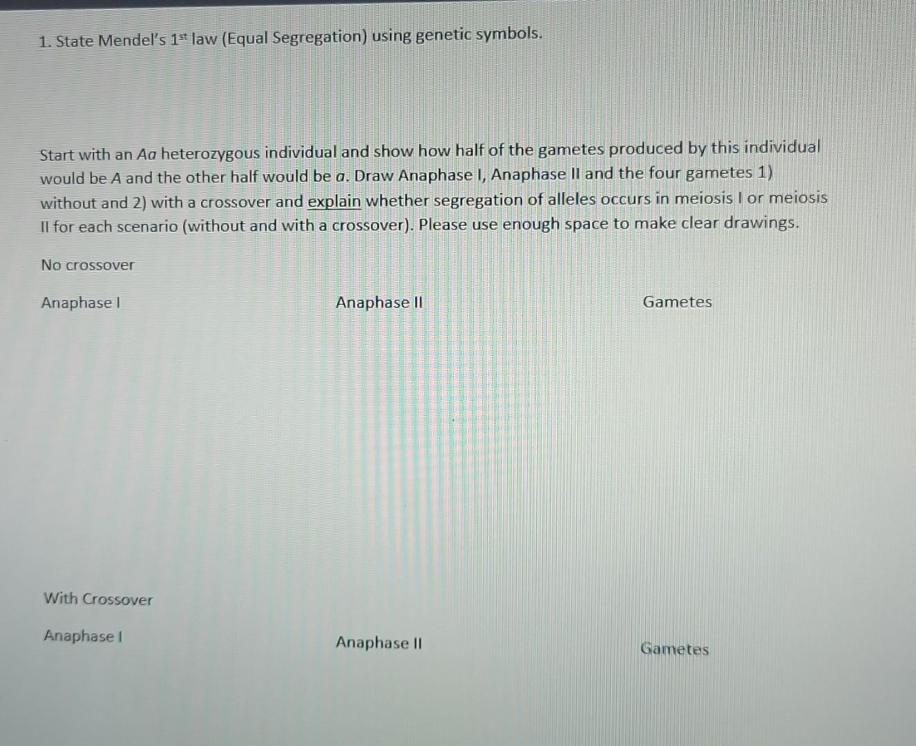 Solved 1. State Mendel's 1st law (Equal Segregation) using | Chegg.com