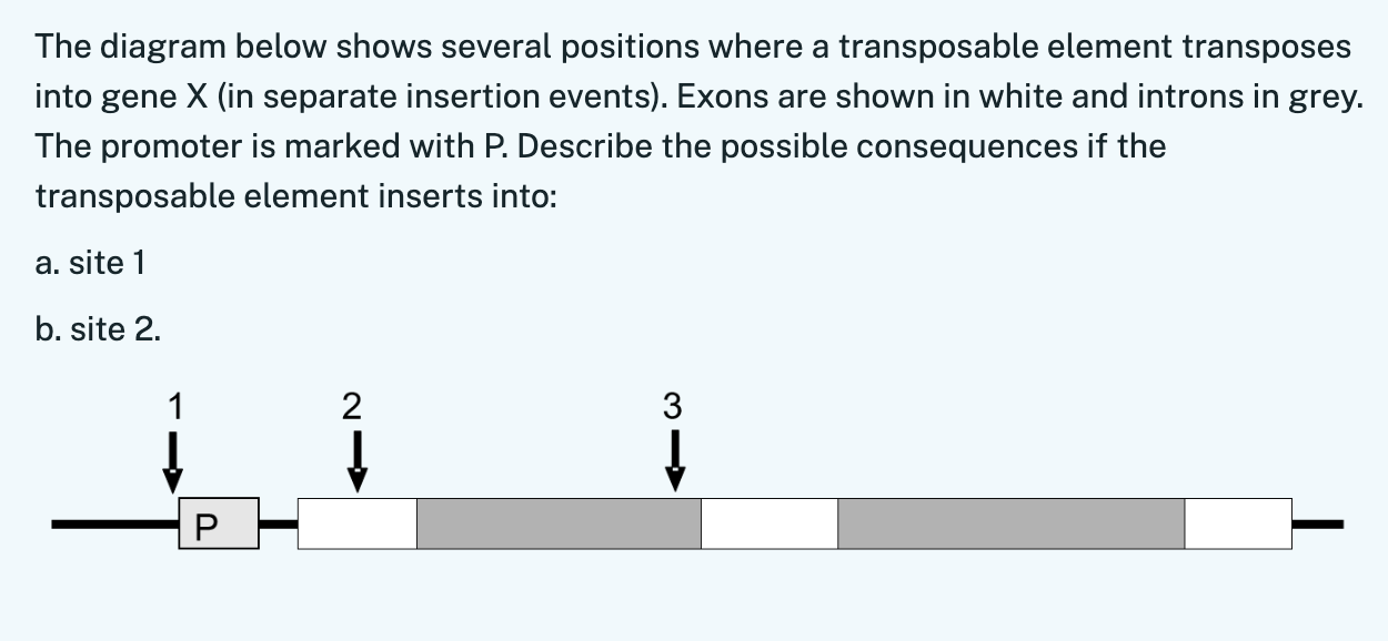 Solved The diagram below shows several positions where a | Chegg.com