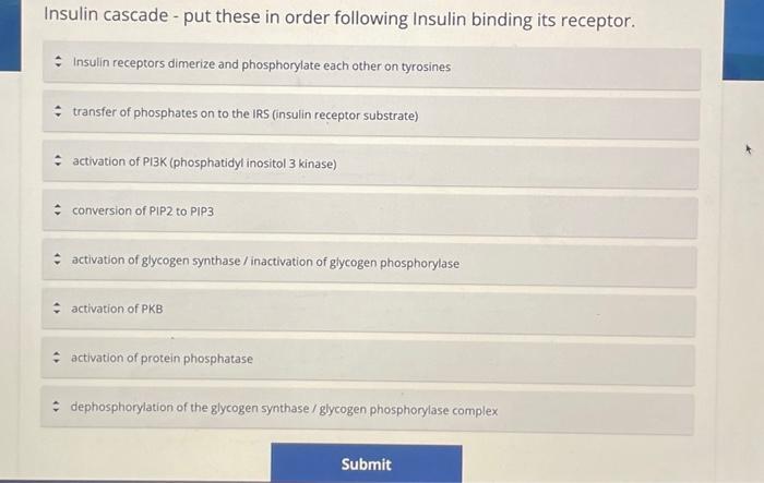 Solved Insulin cascade - put these in order following | Chegg.com